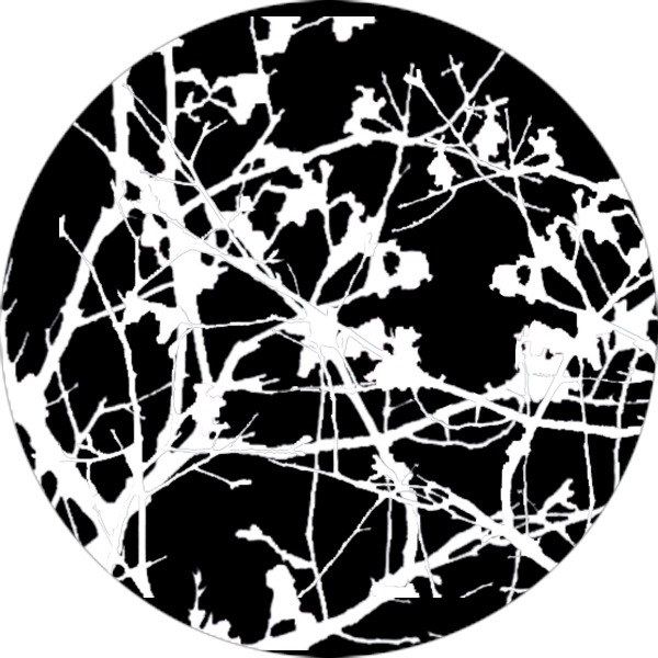 Winter Branches 1 Gobo for Eddy Light Gobo Projector