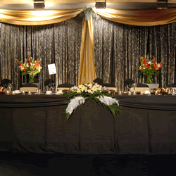 DELUXE 2 Panel Standard Backdrop - 6-14ft High