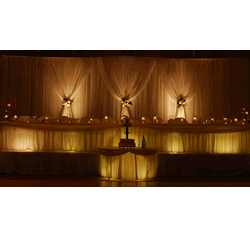 DELUXE 2 Panel Standard Backdrop - 6-14ft High