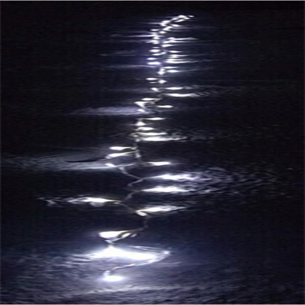 32ft Cool White LED Light Strand. Plug-In Style w/8 Light Programs (100 ...