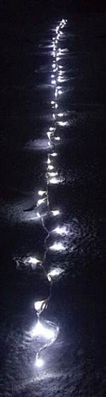 32ft Cool White LED Light Strand. Plug-In Style w/8 Light Programs (100 ...