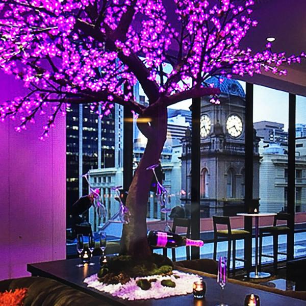 Lighted Cherry Blossom LED Tree - AC Adapter - 1000 LEDs - RGBW w ...