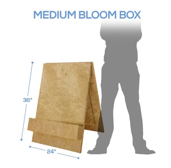 Floral Bloom Box - Sandwich Stand - Select Your Size!