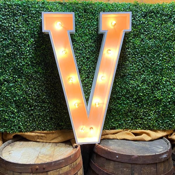 Wood Marquee Letter V