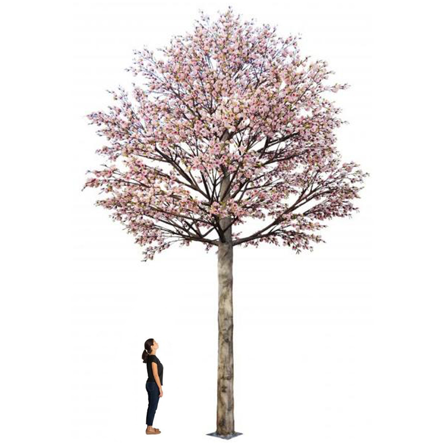 HUGE 26FT Tall Cherry Blossom Tree - Permanent Install - Custom Colors ...