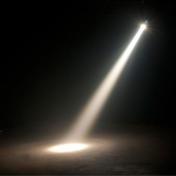 ADJ Saber LED Spot Light WW